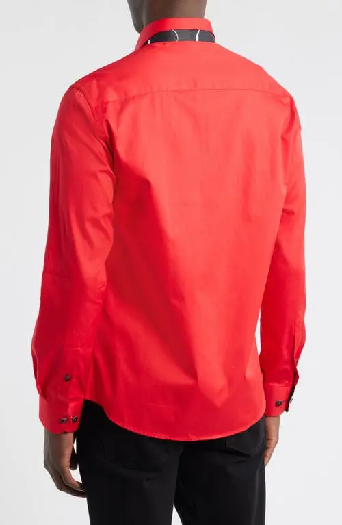 SIRAGUSA Sinai Collection Luxe Cotton Dress Shirt