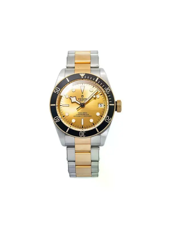 TUDOR Black Bay S&g 41mm Watch - Gold
