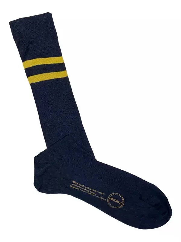 ANTIPAST Striped Socks - Blue