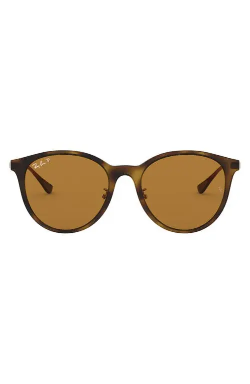 Ray-ban 55mm Polarized Square Sunglasses - Light Havana/brown