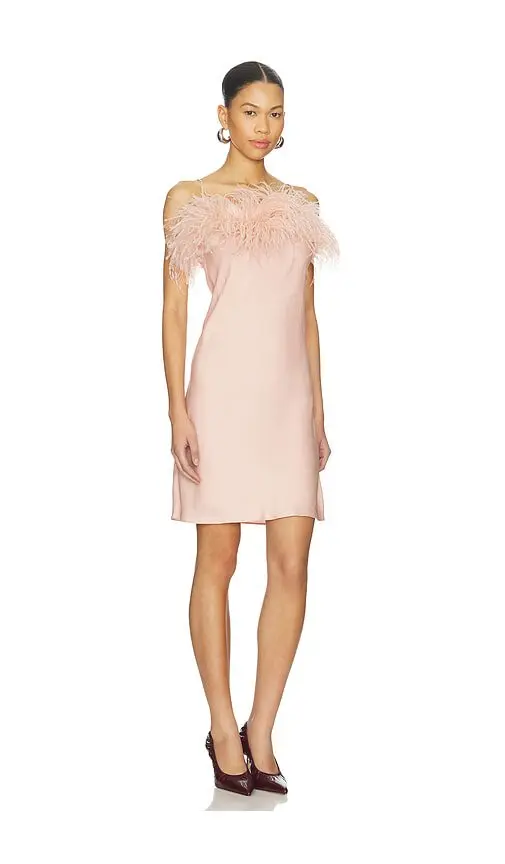 dusty pink feather skirt bodycon dress Sassy Shortcake Forever Feather Skirt