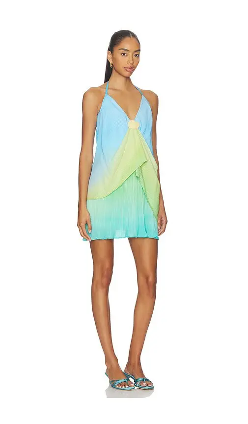 BAOBAB Cassis Mini Dress