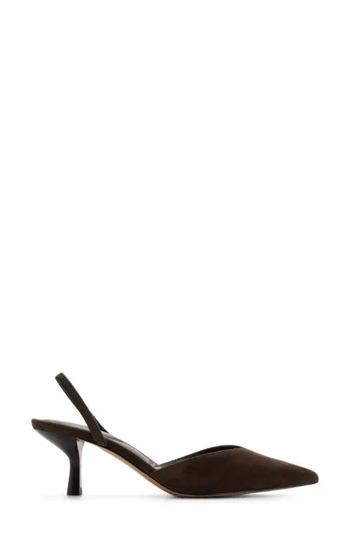 Aldo Pointed Toe Slingback Pumps