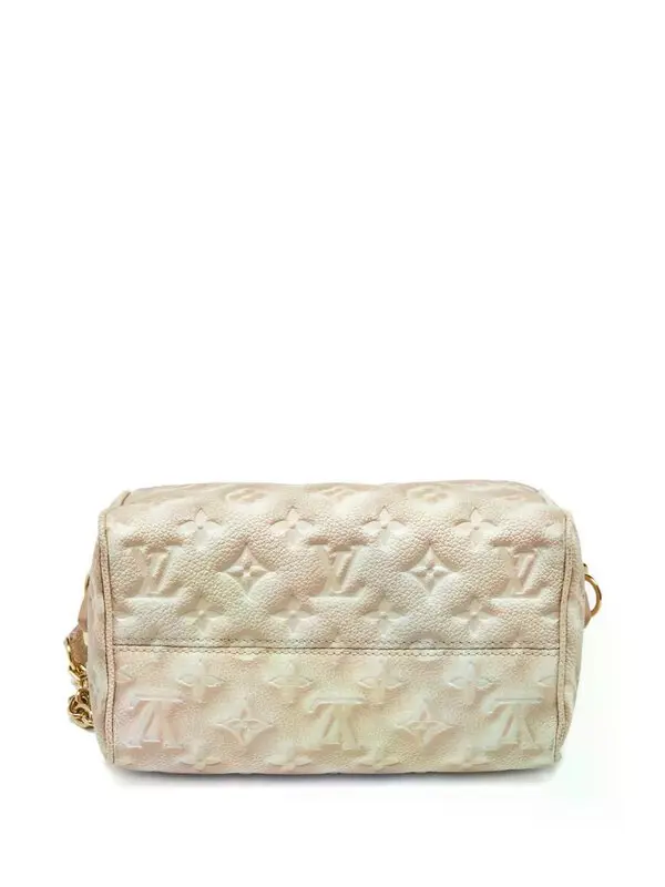 LOUIS VUITTON Speedy 20 Tote Bag
