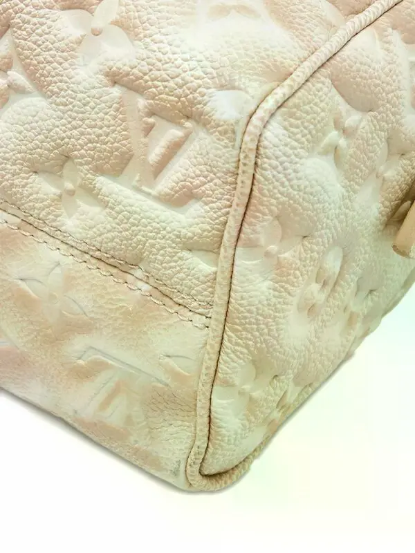 LOUIS VUITTON Speedy 20 Tote Bag