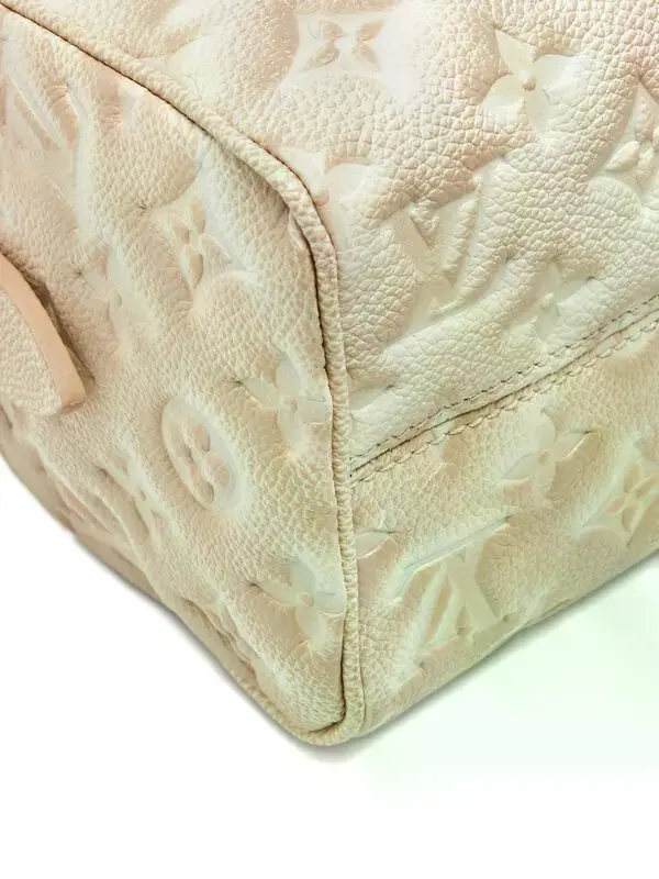 LOUIS VUITTON Speedy 20 Tote Bag
