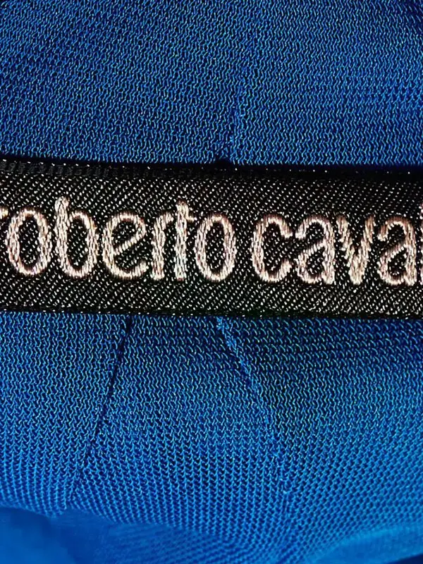 Roberto Cavalli Puff-sleeve Wave-print Top
