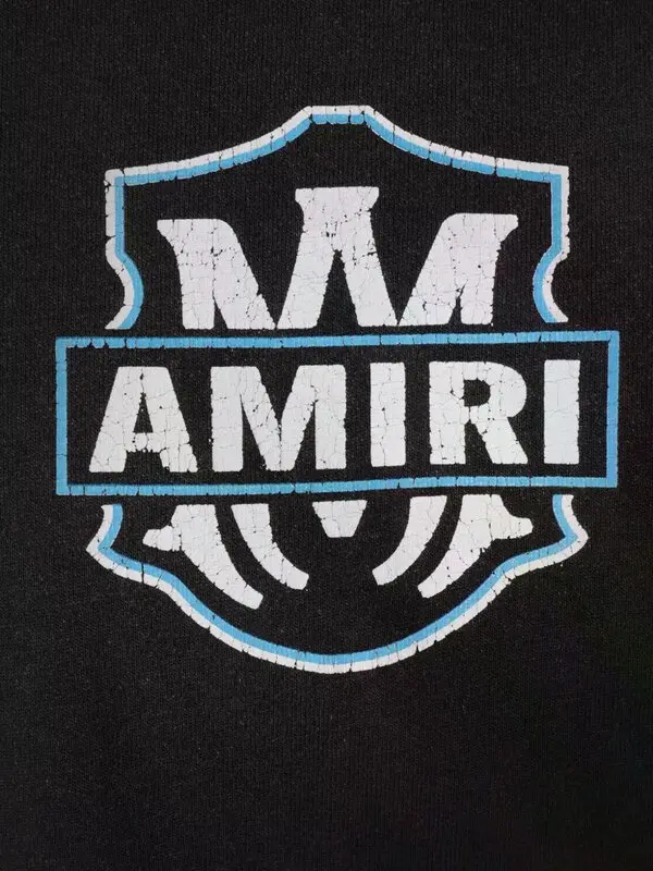 Amiri Eagle Flames Long-sleeves Graphic T-shirt