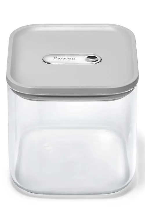 CARAWAY Medium 2.5-quart Airtight Storage Container - Gray