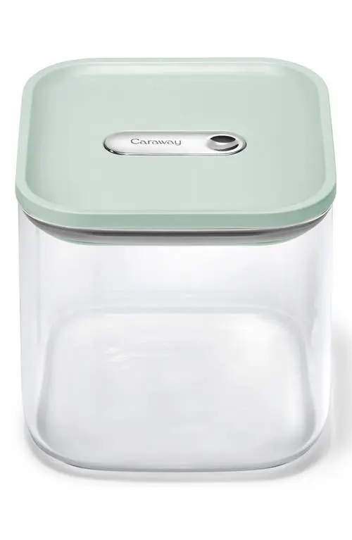 CARAWAY Medium 2.5-quart Airtight Storage Container - Mist