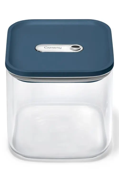 CARAWAY Medium 2.5-quart Airtight Storage Container - Navy