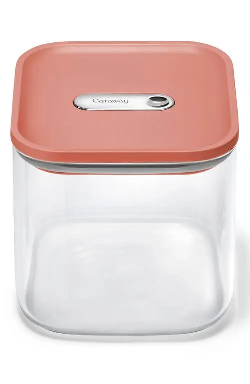 CARAWAY Medium 2.5-quart Airtight Storage Container - Perracotta