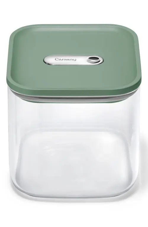 CARAWAY Medium 2.5-quart Airtight Storage Container - Sage