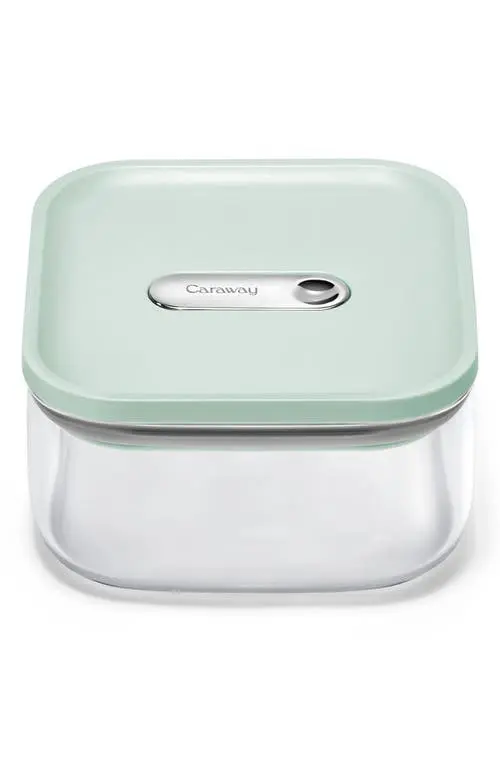 CARAWAY Small 0.9-quart Airtight Storage Container - Mist