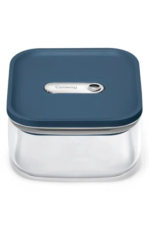 CARAWAY Small 0.9-quart Airtight Storage Container - Navy