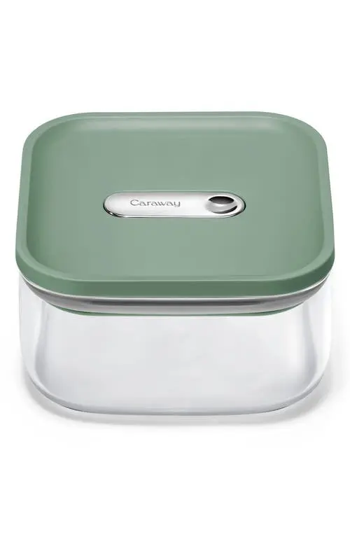 CARAWAY Small 0.9-quart Airtight Storage Container - Sage