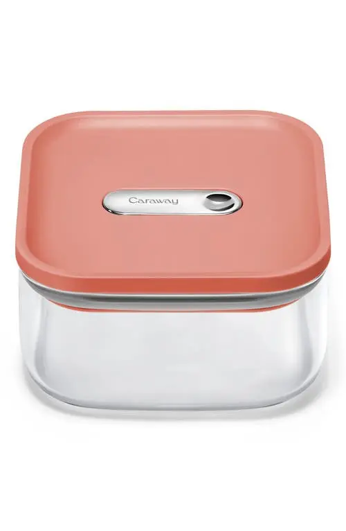 CARAWAY Small 0.9-quart Airtight Storage Container - Terracotta