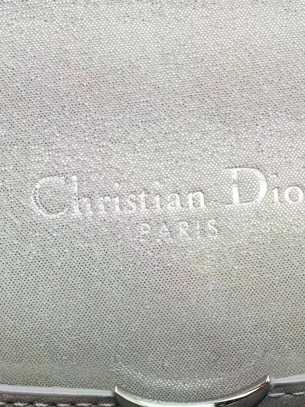 Dior Diorama Leather Crossbody Bag - Grey