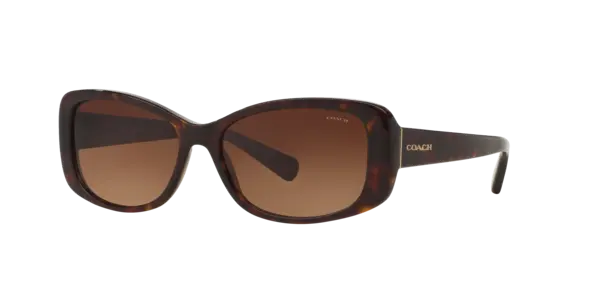COACH Cat Eye Sunglasses - Brown Gradient