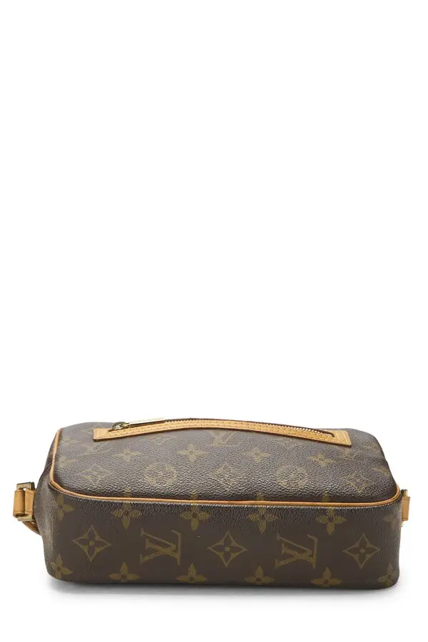 LOUIS VUITTON Monogram Canvas Pochette Cite