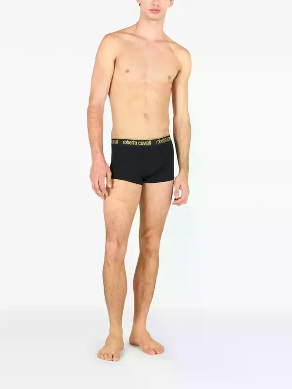 Roberto Cavalli Logo Boxers