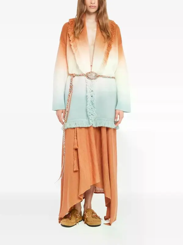 Alanui Mermaid Inside Braided Belt