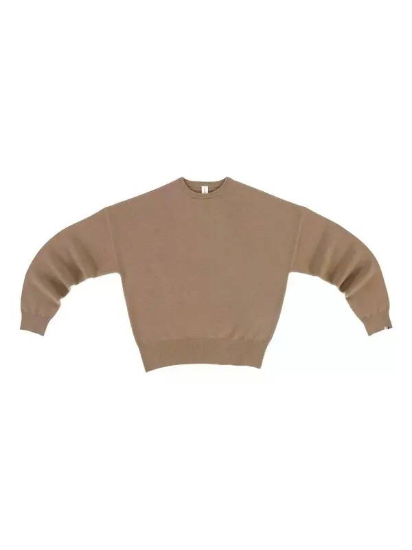 Extreme Cashmere Crew-neck Sweater - Brown