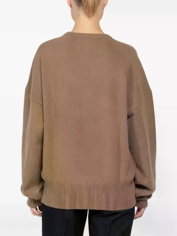 Extreme Cashmere Crew-neck Sweater - Brown