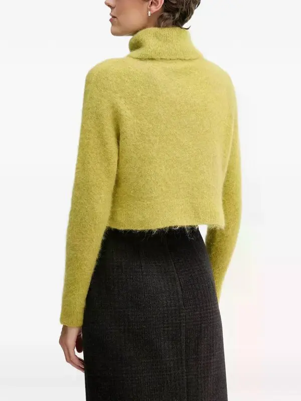 SANDRO FERRONE Roll-neck Sweater - Green