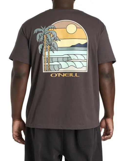 O'Neill Big & Tall Glassy Days Graphic Tee