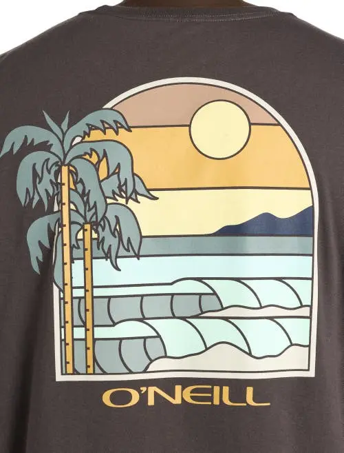 O'Neill Big & Tall Glassy Days Graphic Tee