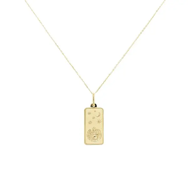 SABRINA DESIGNS CO. Capricorn Zodiac Dog Tag Pendant Chain Necklace - Yellow_gold