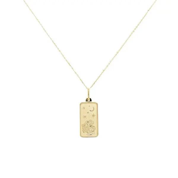 SABRINA DESIGNS CO. Aquarius Zodiac Dog Tag Necklace - Yellow_gold