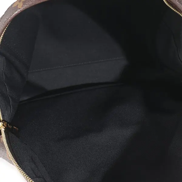 LOUIS VUITTON Monogram Canvas Palm Springs Mm - Brown