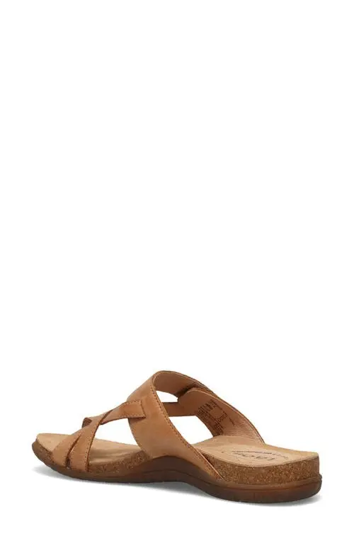 TAOS Perfect Toe Loop Sandal - Tan