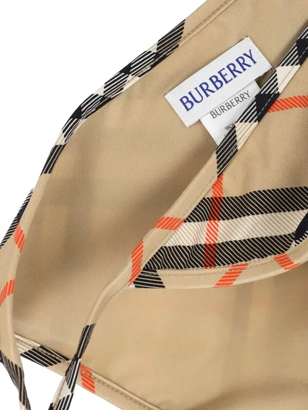 Burberry Check Swim Briefs - Beige