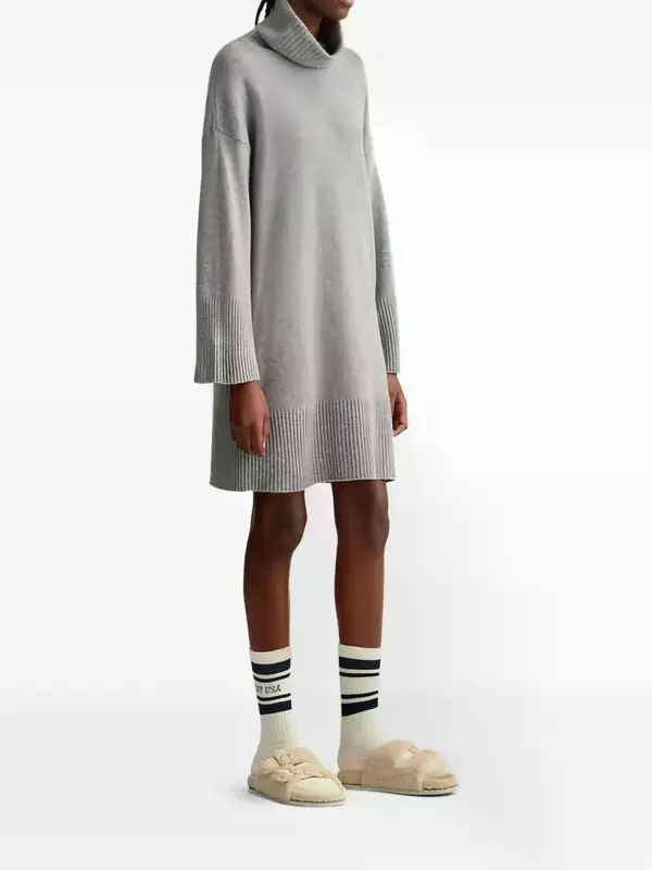 Gant Roll-neck Ribbed Mini Dress