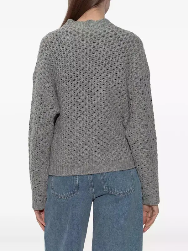 Fabiana Filippi Embellished Open-knit Sweater