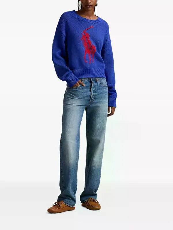 Polo Ralph Lauren Big Pony Sweater