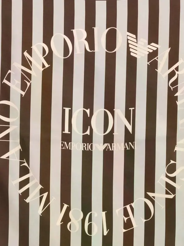 Emporio Armani Striped Fringed Scarf - Brown