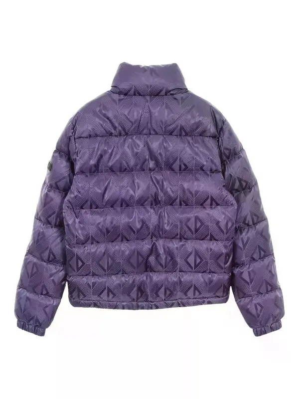 Dior Cd Diamond Down Jacket