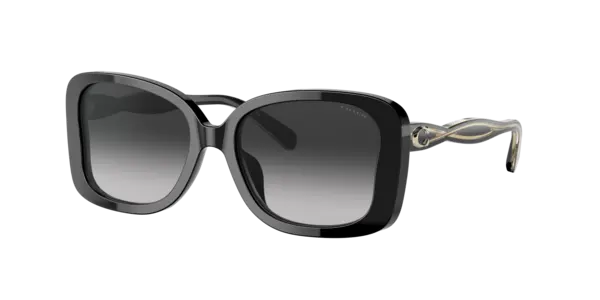 COACH Sunglasses - Grey Gradient