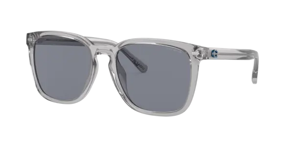COACH Sunglasses