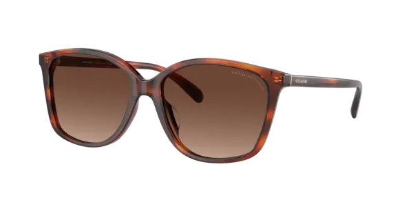 COACH Sunglasses Black - Brown Gradient Polarized