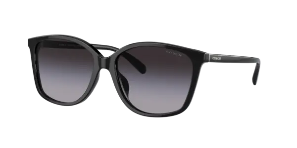 COACH Sunglasses - Grey Gradient