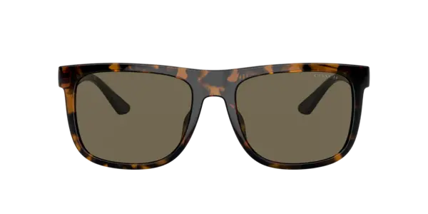 COACH Sunglasses