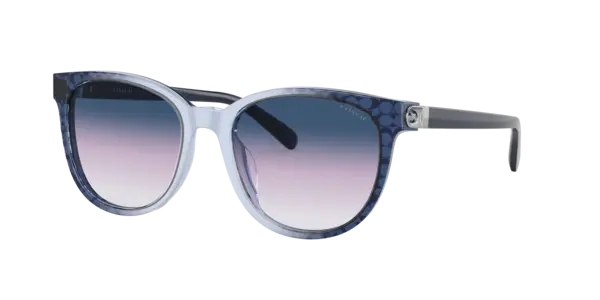 COACH Sunglasses - Blue Purple Gradient