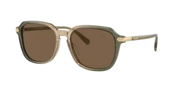 COACH Sunglasses - Brown Solid
