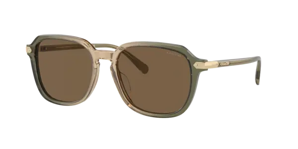 COACH Sunglasses - Brown Solid