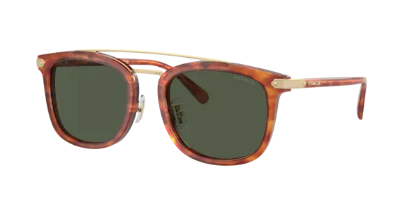 COACH Sunglasses - Army Green